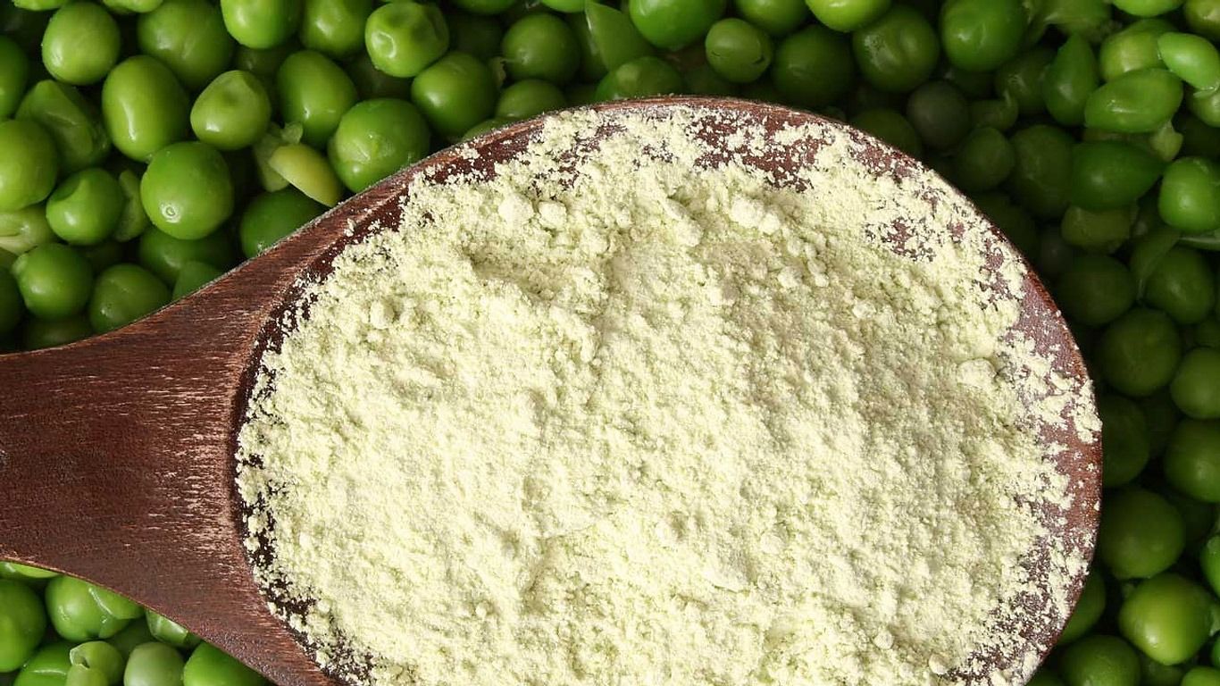 Pea Protein Concentrate - KRAFT